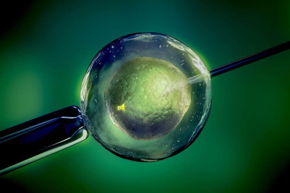 IVF, Birth Defects, and Pediatric Cancer: The Connection
